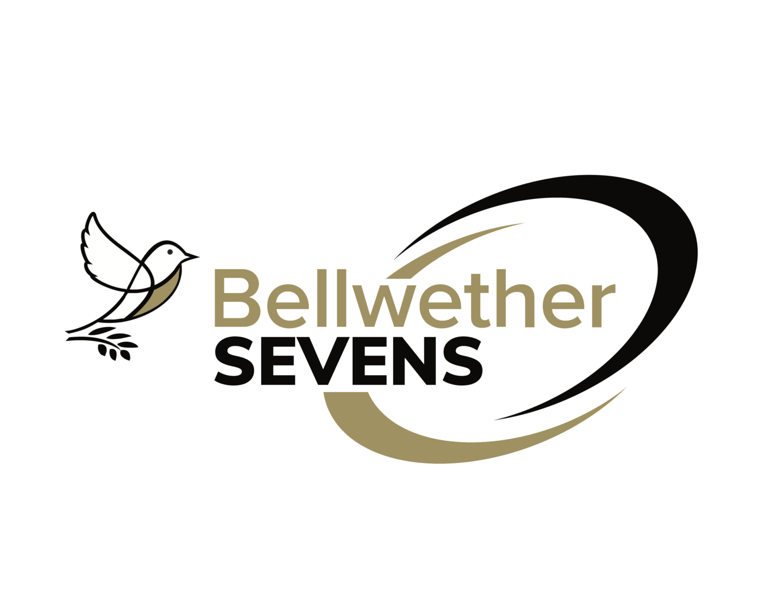 Fall Sevens Series – Rugby Ontario